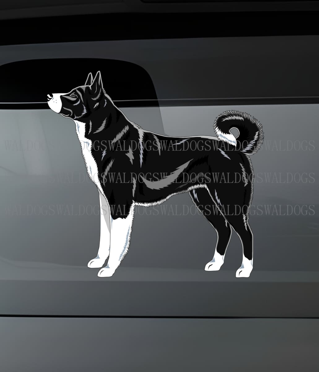 Karhukoira II Tarra - Waldogs